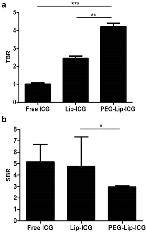 Effect Of Liposome Pegylation On Imaging A Pegylated Liposome