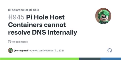 Pi Hole Host Containers Cannot Resolve DNS Internally Issue 945 Pi