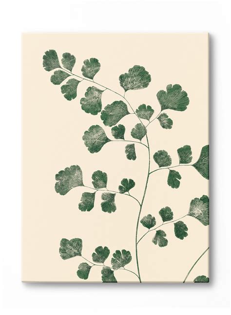 Go Ginkgo Shop Posters And Prints Online At Opposite Wall