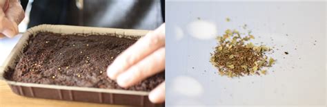 植物に合わせた3つの種まきの方法 GardenStory ガーデンストーリー
