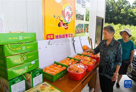 新華全媒 重慶萬州桃李産業美了山鄉富了民 新華網