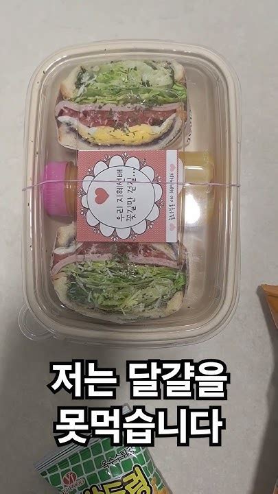 샌드위치를 먹지 못한 이유 Youtube