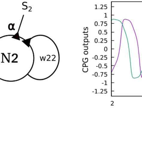 Left The Cpg Model Of The Neural Cpg Based Control Consisting Of Two Download Scientific