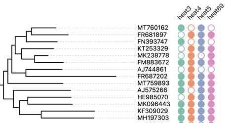 Binary Type 1 · Gitbook
