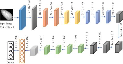 Schematic Representation Of The Efficientnet B0 Cnn Implemented For The
