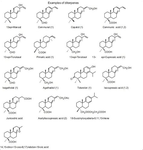 Diterpene Alchetron The Free Social Encyclopedia