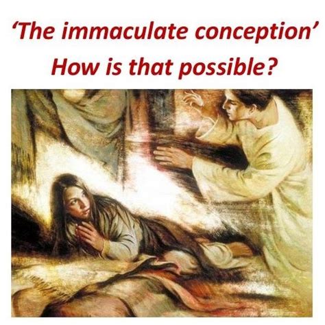 Immaculate Conception Explained