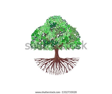 Tree Roots Vector Tree Round Shape Stock Vector Royalty Free Shutterstock