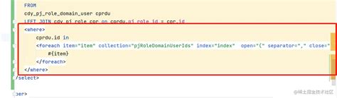 Mybatis踩坑01 Error Evaluating Expression Pjroledomainuserids Return