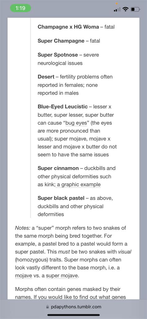 ball python morph guide r ballpython