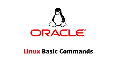 Brace Coder