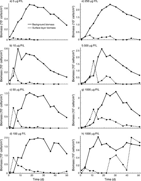 Amount Of Biomass In Surface Layer If Present And Background Through