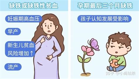 孕妈知识10 个孕妈 6 个缺它备孕千万别只知道补叶酸 知乎