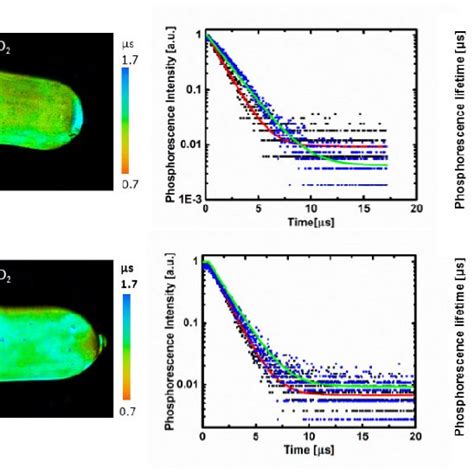 Phosphorescence Lifetime Measurements For Polymers P1 A And P3 B In Download Scientific