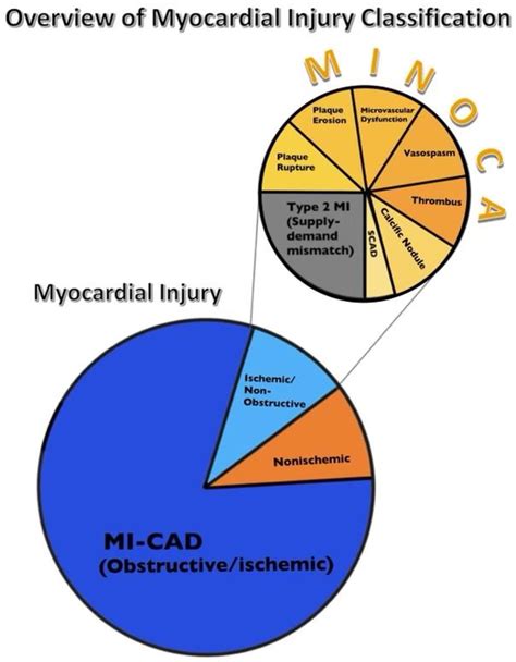 Myocardial Injury Classification Abbreviations Minoca Myocardial