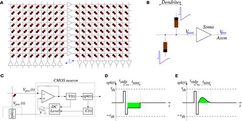 a example of memristors and cmos neuron circuits arrangement for