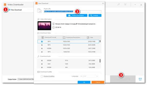 Ways How To Fix VLC Not Playing YouTube Videos