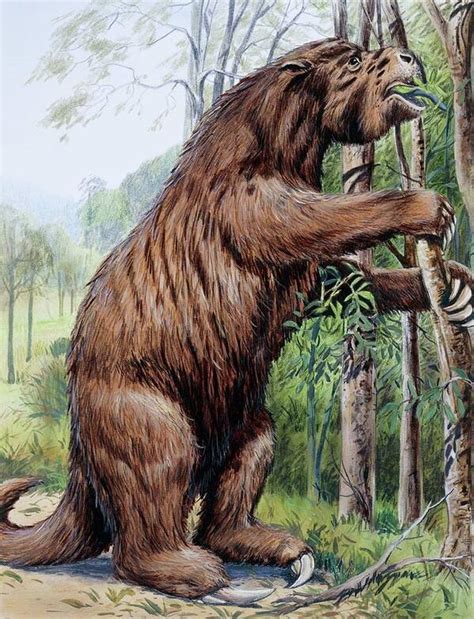 Megatherium Poster By Science Photo Library Science Photo Gallery