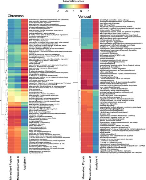 Heatmaps Of Relative Abundances Of Microbial Metabolic Pathways Download Scientific Diagram