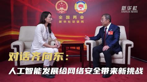 姝莛 两会对话齐向东人工智能发展给网络安全带来新挑战 凤凰网视频 凤凰网