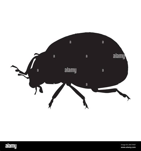 Vector Illustration Of Ladybird Silhouette Stock Vector Image And Art Alamy