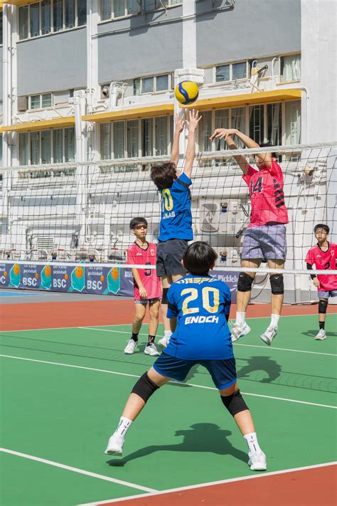 小學精英排球訓練計劃 2025 2026｜第二階段訓練及全港「小學排球邀請賽」圓滿舉行 佛教沈香林紀念中學 Buddhist Sum Heung Lam Memorial College