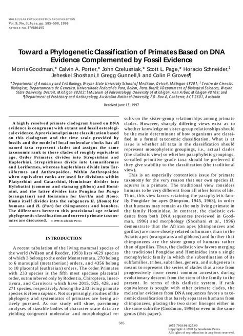 Pdf Toward A Phylogenetic Classification Of Primates Based On Dna Evidence Complemented By