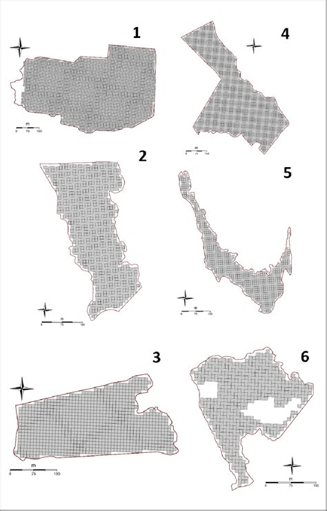 Figure 2 From Synergistic Use Of Sentinel 2 And Uav Derived Data For