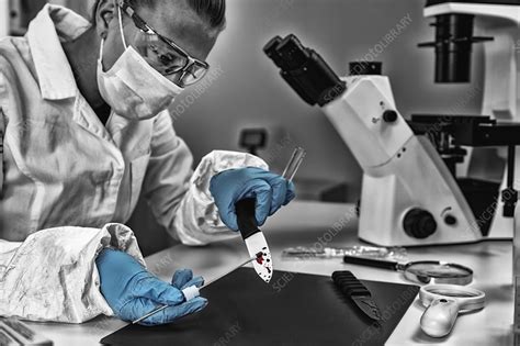 Forensic Investigator Examining Evidence In Lab Stock Image F024
