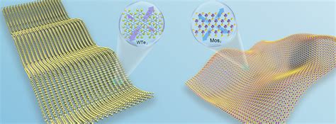 南方科技大学 科技论文配图 医学动画 动画宣传片 三维动画制作 北京中科幻彩