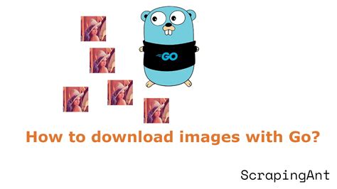 How To Download Images With Go Scrapingant