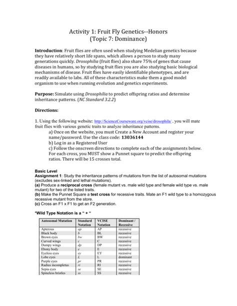 Fruit Fly Genetics Lab Mendelian Inheritance And Punnett Squares