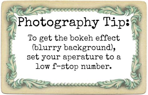 Bokeh Effect Photography Tips