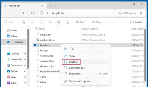 4 Methods To Recover Deleted Kdc Files Kodak Raw Image Files