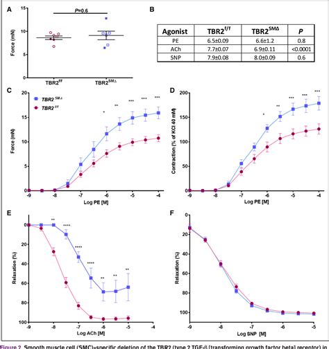 Figure 2 From Blockade Of Tgf β Transforming Growth Factor Beta