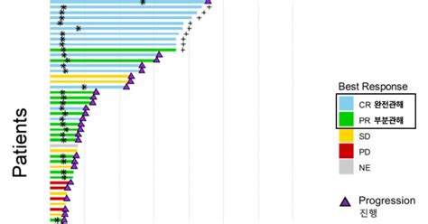 재발·불응성 미만성 거대b세포 림프종 새로운 치료 가능성 열려