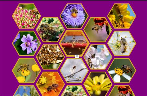 20 css thumbnail examples with effects onaircode