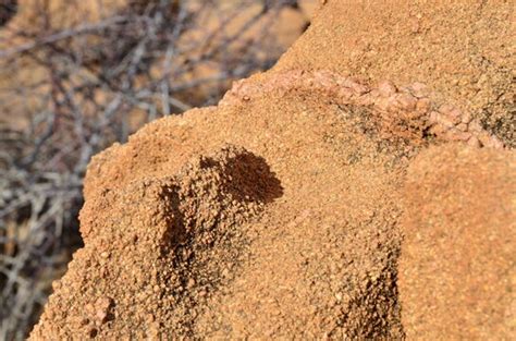 「terminte」の写真素材 17件の無料イラスト画像 Adobe Stock