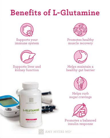 Does L Glutamine Support Muscle Recovery After Exercise Ammd