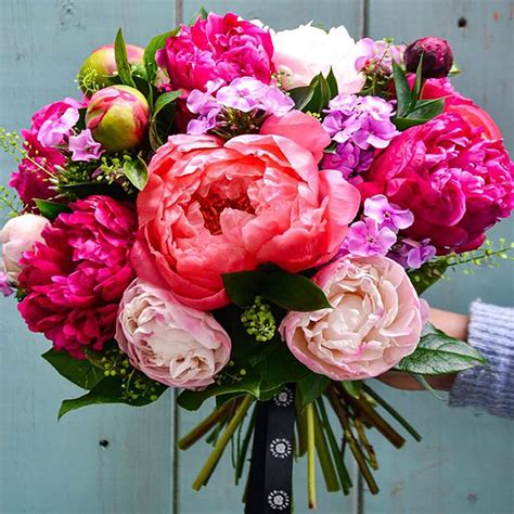 What Colors Are Peony Flowers At Rory Barbour Blog