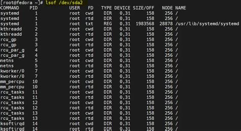 18 Quick Lsof Command Examples For Linux Geeks