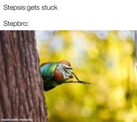 Help Me Step Bro R Memes