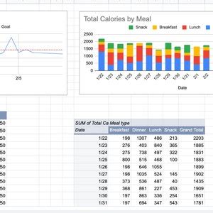 Calorie Tracker Excel And Google Sheets Templates File Downloads Tables And Charts For Daily
