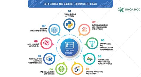 Combo 10 Khoá Data Science And Machine Learning Certificate