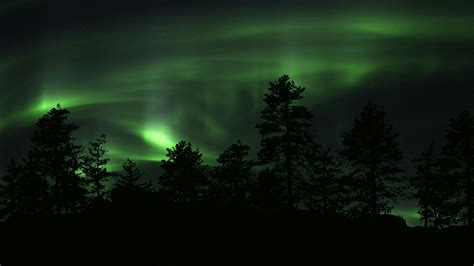 Discover Aurora Borealis Animation A Story Driven Footage Artlist