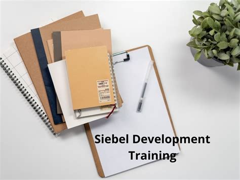 siebel development training idestrainings