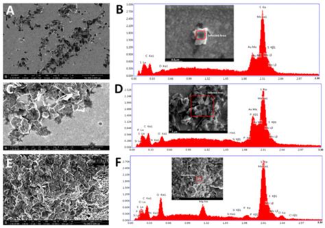 Multiplex Portable Biosensor For Bacteria Detection