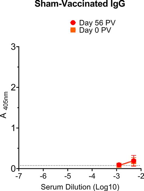 A Dna Based Vaccine Protects Against Crimean Congo Hemorrhagic Fever