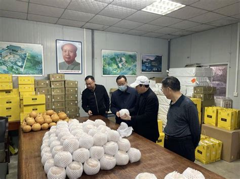 孝南新增2家省级“星创天地”，各获20万元奖补资金发展创新农业