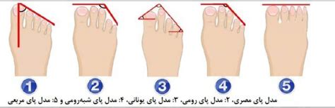تنوع فرم انگشتان پا در تشخیص ملیت افراد کمک می‌کند
